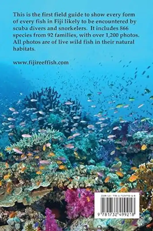 Fiji Reef Fish - Resort Support